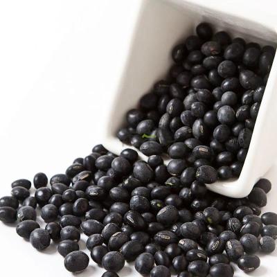 Cina Glutamato-fermentazione Proteine del corpo batteriche Additivi per mangimi con proteine grezze 75% in vendita