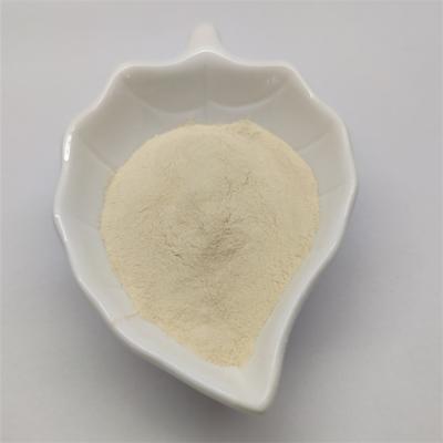 China 50% Yeast Hydrolysate Poultry Protein Supplement For Pets and Aquatic Feed Additive for sale