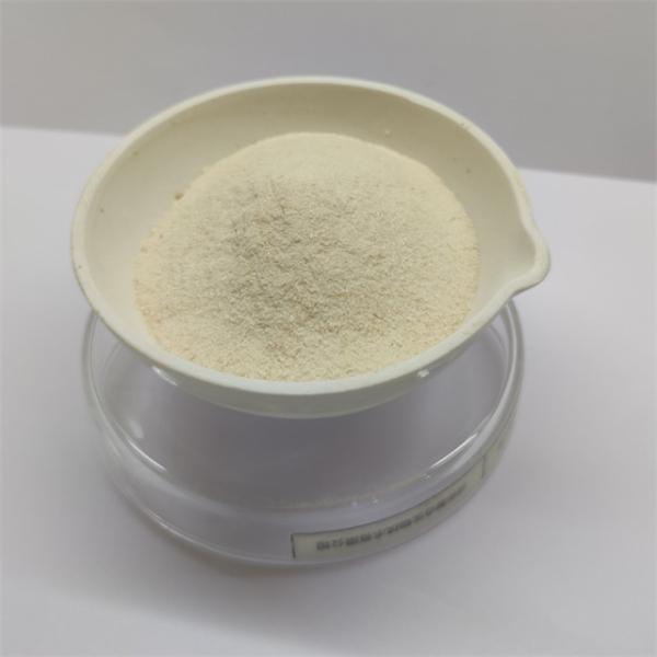 Quality Brewer'S Yeast Powder 45% Animal Feed Yeast High Proteins Feed Additive for for sale