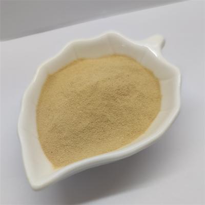 High Protein Livestock Brewers Yeast Powder Rich In Aminoacids