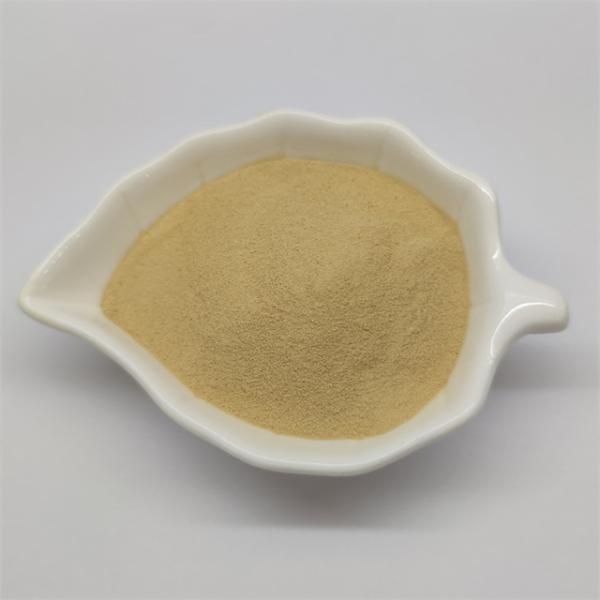 Quality Brewer'S Yeast Powder 45% Animal Feed Yeast High Proteins Feed Additive for for sale