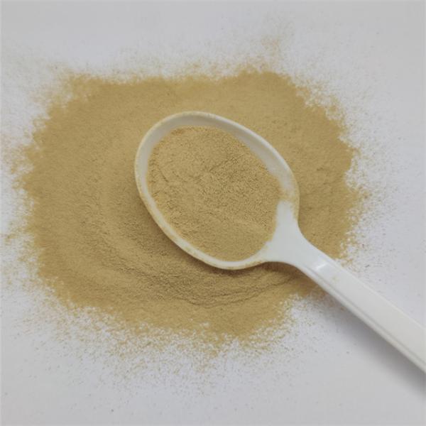 Quality Brewer'S Yeast Powder 45% Animal Feed Yeast High Proteins Feed Additive for Poultry for sale