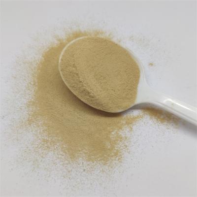 Yellow Powder Hydrolysate Yeast 50% Animal Feed Yeast Protein 45% MOS 5%