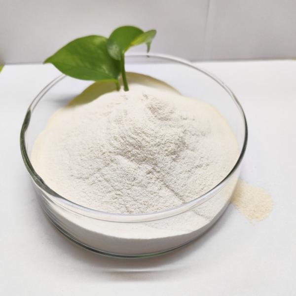 Proteine solubbili ad alto contenuto acido Zinc Aminoacidi chelati Peptidi attivi completi Additivi per mangimi