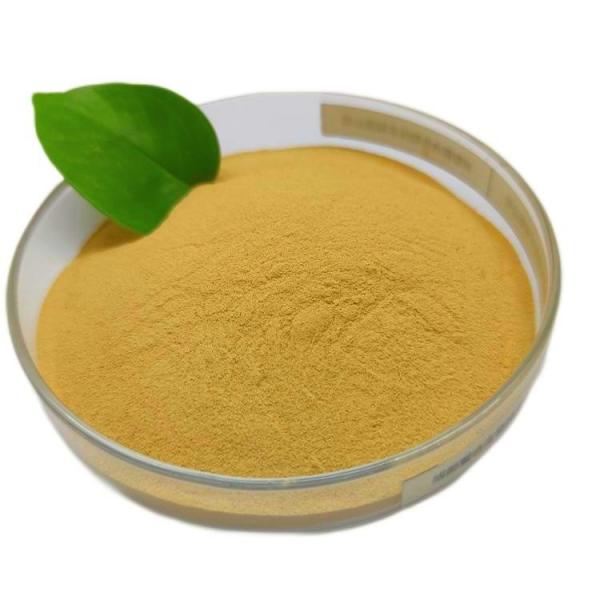 Bacillus subtilis ruminanti probiotici 100 miliardi CFU/g nel mangime per pollame