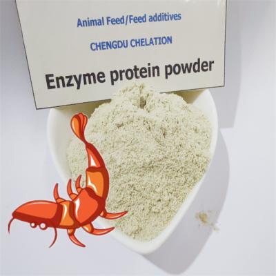Cina Supplemento proteico di processo enzimatico Polvere 80% Proteine grezze per foraggio in vendita