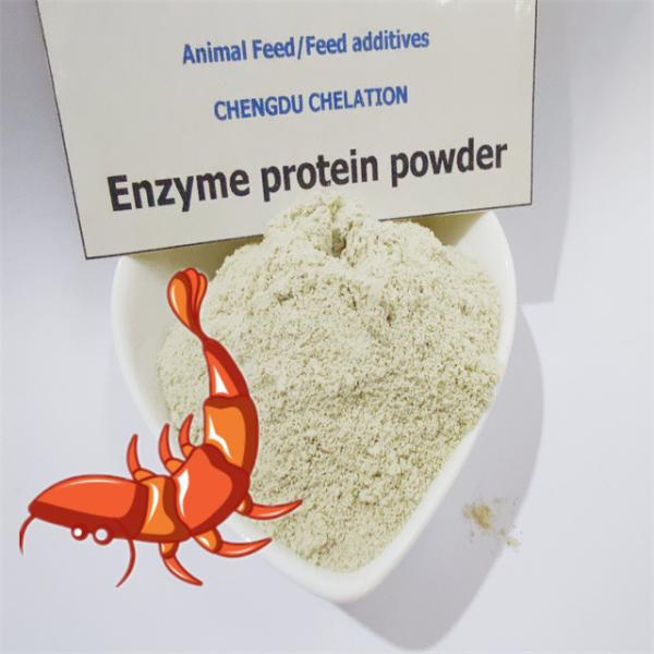 Quality Animal Feed Additives With Crude Protein 60% Powder Form for sale