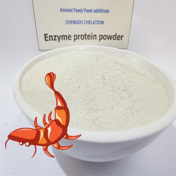 Quality Acid Digestive 95% Crude Protein Amino Acid Feed Additives Powder For Fish for sale