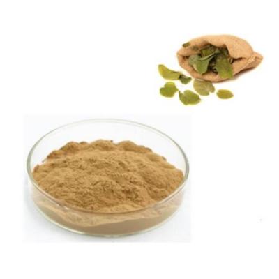 Cina Polvere estratta dalla pianta di Rhodiola Rosea in vendita