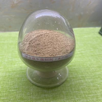 Clostridium Butyricum Compound Aquaculture Probiotiques Additif alimentaire pour les poissons Crevettes