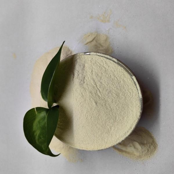 Quality Light Yellow Feed Amino Acid Methionine Chelated Iron Organic Fe 15% for sale