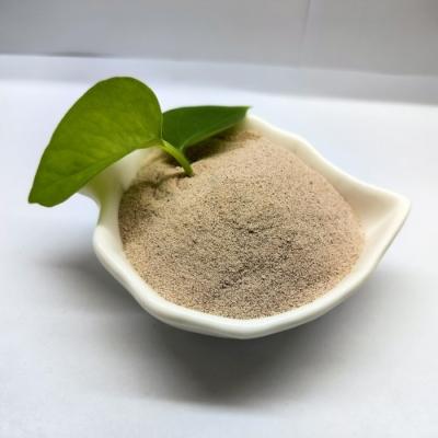 Cina Chelato minerale oligoelementi organici lievito per cavalli Migliora la digestione e l'assorbimento degli animali in vendita
