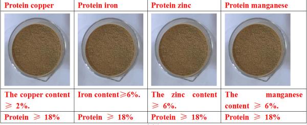 Protect Animals Pets Myocardium And Strengthen Muscles Feed Additives Copper Proteinate Powder