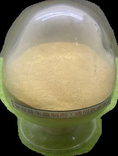 Quality Bacillus Subtilis Probiotic Chicken Feed Additives Water Soluble for sale