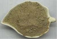 Quality Single Cell Protein Feed Probiotics Lysine Fermentation Bacterial Protein for sale