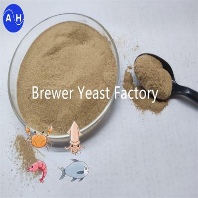 Cina Lievito per mangimi ad alto contenuto nutritivo con Saccharomyces cerevisiae per la salute digestiva in vendita