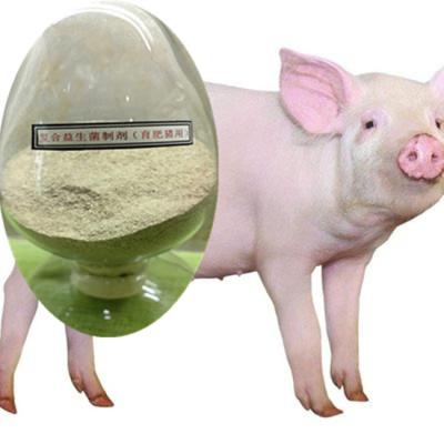 China Swine Probiotics Complex Prebiotic And Probiotic Premixed Feed For Livestock And Poultry Pig Fatten Grower Feed for sale