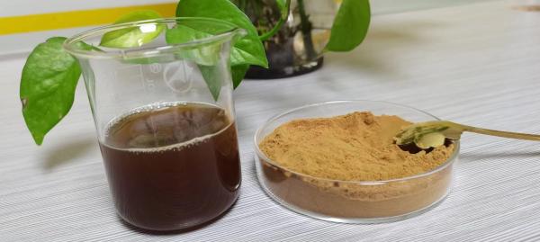 Quality Selenium Rich Yeast Powder A Natural Source Of Organic Selenium For Laying Hens for sale