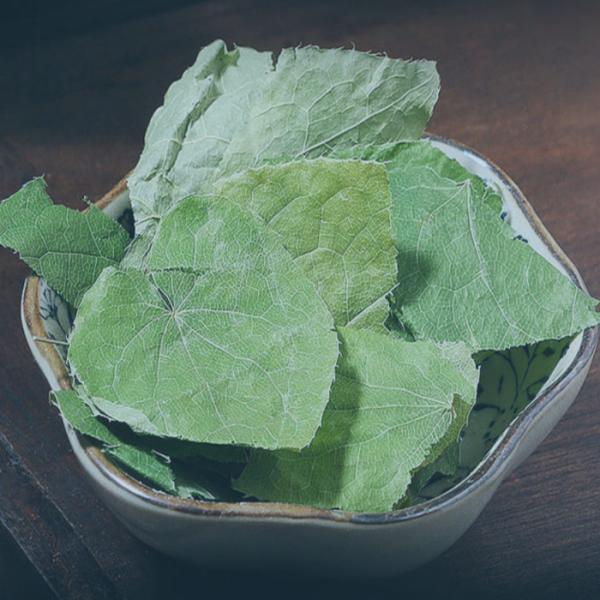 Pet Nutritional Supplements Plant Extract Powder For Pet Joint Care Relieve Joint Pain