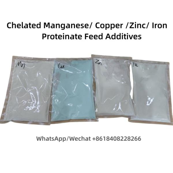 Quality 15% Chelated Copper Proteinate Feed Additives Improve Poultry and Livestock for sale