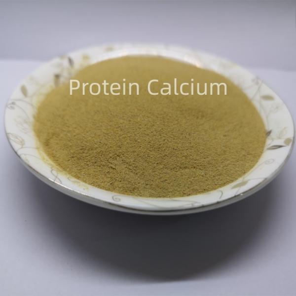 Organic Ca Calcium High Lysine Amino Acid Chelate Elements Animal Feed Additives Nutrition