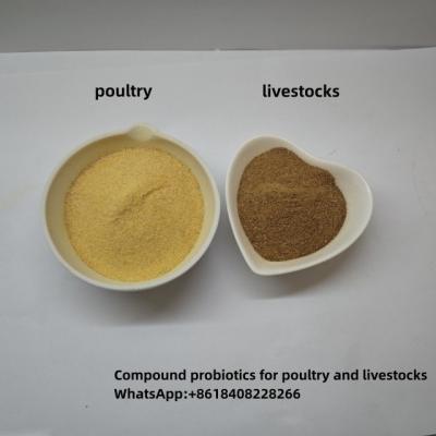 Cina Methionina 0,2% Selenio Aminoacido chelato Selenio organico Additivi per mangimi per polli in vendita