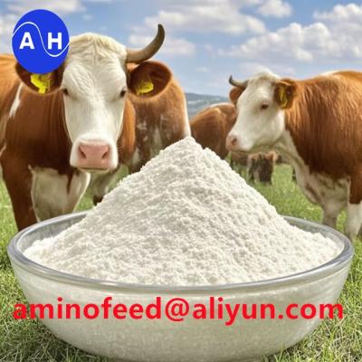 Cina Additivi per alimenti per animali Proteine minerali chelato di ferro 20% per gatti e cani in vendita