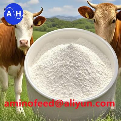 Cina Additivi per alimenti per animali Proteine minerali chelato di ferro 20% per gatti e cani in vendita