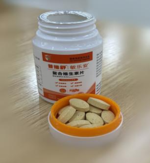 Cina Integratore Multivitaminico Multifunzionale per Gatti e Cani Supporto Immunitario Naturale e Sollievo dalle Allergie per Cani in vendita