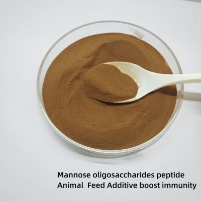 China Mannose oligosaccharides peptide Animal Feed Ingredient Regulate Immune for sale