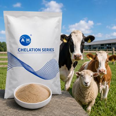 China Chelated Mineral Premix Balanced Chelated MInerals For Ruminant Feed To Improve Animal Performance for sale