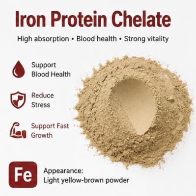 China Chelated Mineral Small Peptide Chelated Iron For Animal Feed To Improve Feed Efficiency for sale