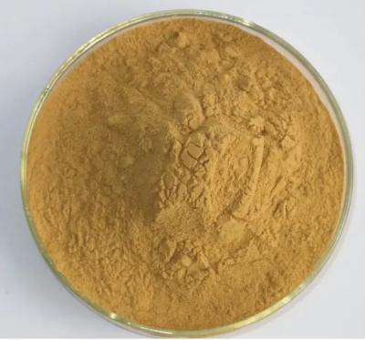 China Feed  Ingredient Astragalus Extract Powder Astragalus Polysaccharide APS 60% Natural Immunity Booster Feed Additive For Pig Chicken Fish Shrimp for sale