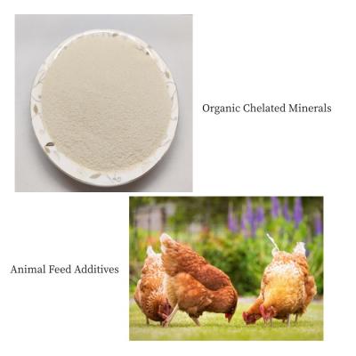 China High Bioavailability Calcium Amino Acid Chelate | Feed Grade | Boosts Animal Growth & Bone Health for sale