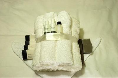 China 35 ml hotel shampoo , shower gel in PVC bottle for sale