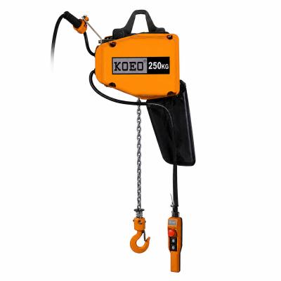 China 250kg Compact Electric Hoist 220V Single Phase Chain Hoist Low Noise For Workshop Garage Lifting for sale
