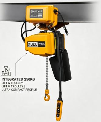 China 380V Light Duty Chain Hoist Ultra Mini Portable Electric Chain Hoist 0.25 Ton for sale