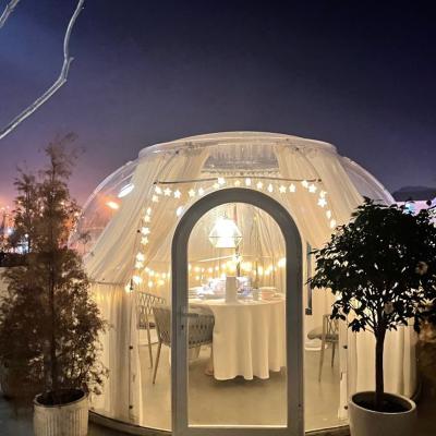 Cina Green Houses Outdoor Bubble Tents Wooden Carton Packaging in vendita