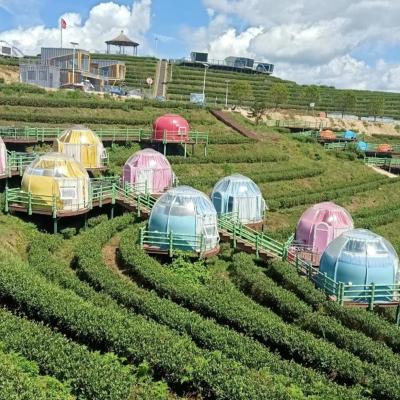Cina Transparent Glamping PC Dome House Clear Bubble Tent For Luxury Outdoor in vendita
