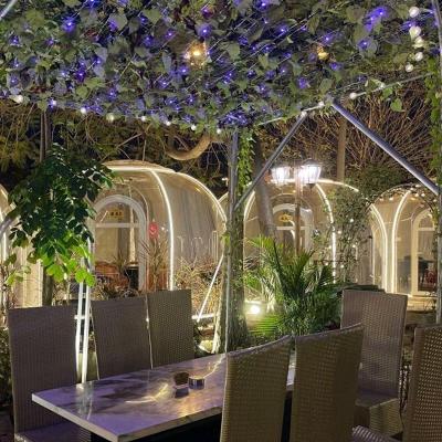 Cina PC Transparent Dome House Hotel Dome Tents For Party And Events in vendita
