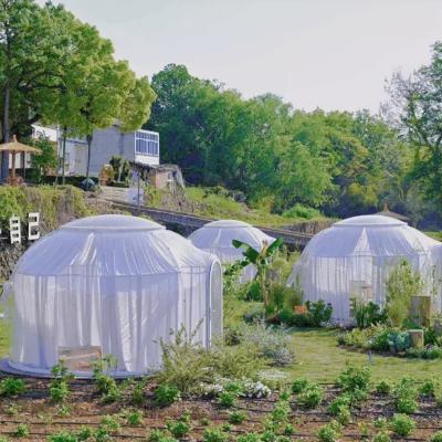 Cina Luxury Outdoor 6m Dome geodesica Four Seasons Camping Dome trasparente Casa in policarbonato in vendita