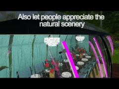 Igloo Bubble Tent