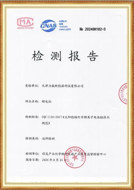 Test Report - Tianjin Liwei New Energy Technology Co., Ltd.