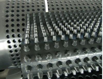 Cina Bordo di drenaggio formato fossette su HDPE trasparente di colore, pannelli ad alta resistenza di drenaggio del fondamento in vendita