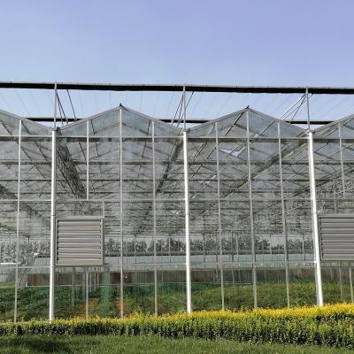 China Large Size Stable Structure Low Cost Agricultural Hydroponic Growing System Glass Greenhouse for sale
