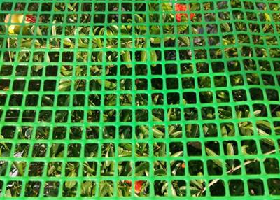 China Horticulture & Gardening - Garden Mesh / Plastic Netting Fence, Plastic Garden Fence, Extrude Plastic Netting for sale