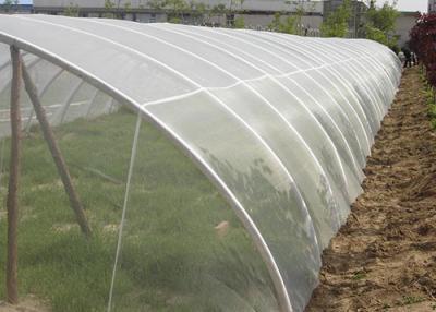 China Agriculture & Farming - Plant and crops protection–Anti insects mesh, insect netting,PE Woven Netting,Customized Colors for sale