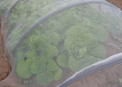 China Agriculture & Farming - Plant and crops protection–Anti insects mesh, insect netting,PE Woven Netting,Customized Colors for sale