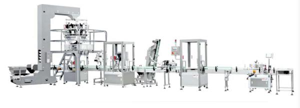 Quality 10-2000g Full Automatic Granule Bottle Packing Machine 20-60 Bags/Min for sale