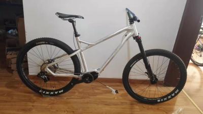 Cina 29er Electric Enduro Bike Frame Bafang M600 500w Mid-Drive E-Bike in vendita
